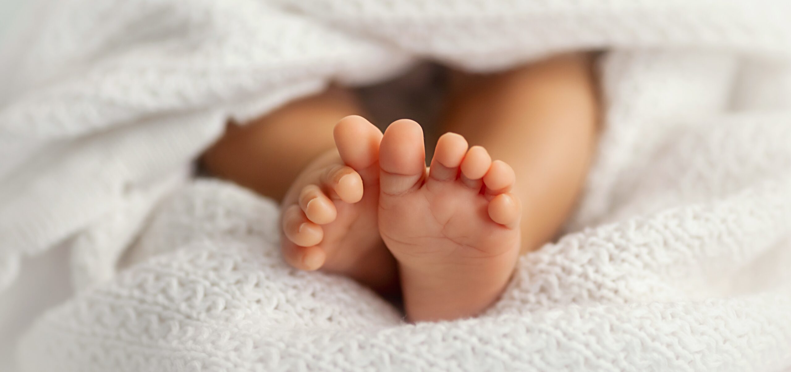 Fertility Rates in Flux: County fertility rates decline but remain high ...